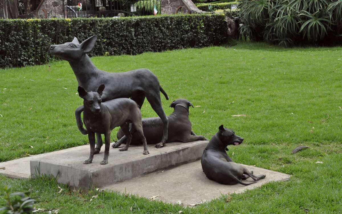 Frida Kahlo and Diego Rivera's Mexico City