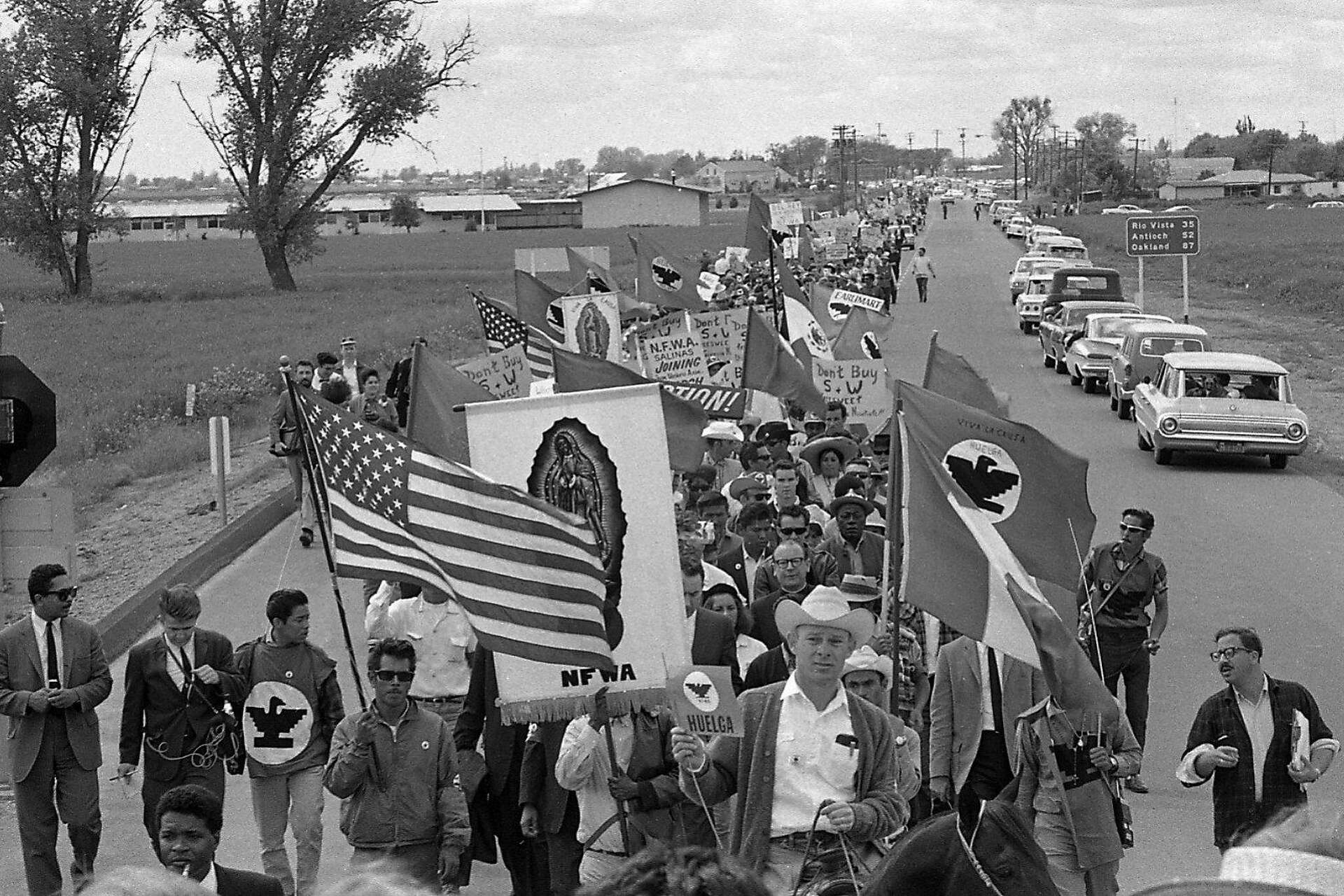 Legacy of the Delano grape strike, 50 years later