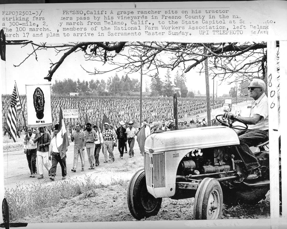 Legacy of the Delano grape strike, 50 years later