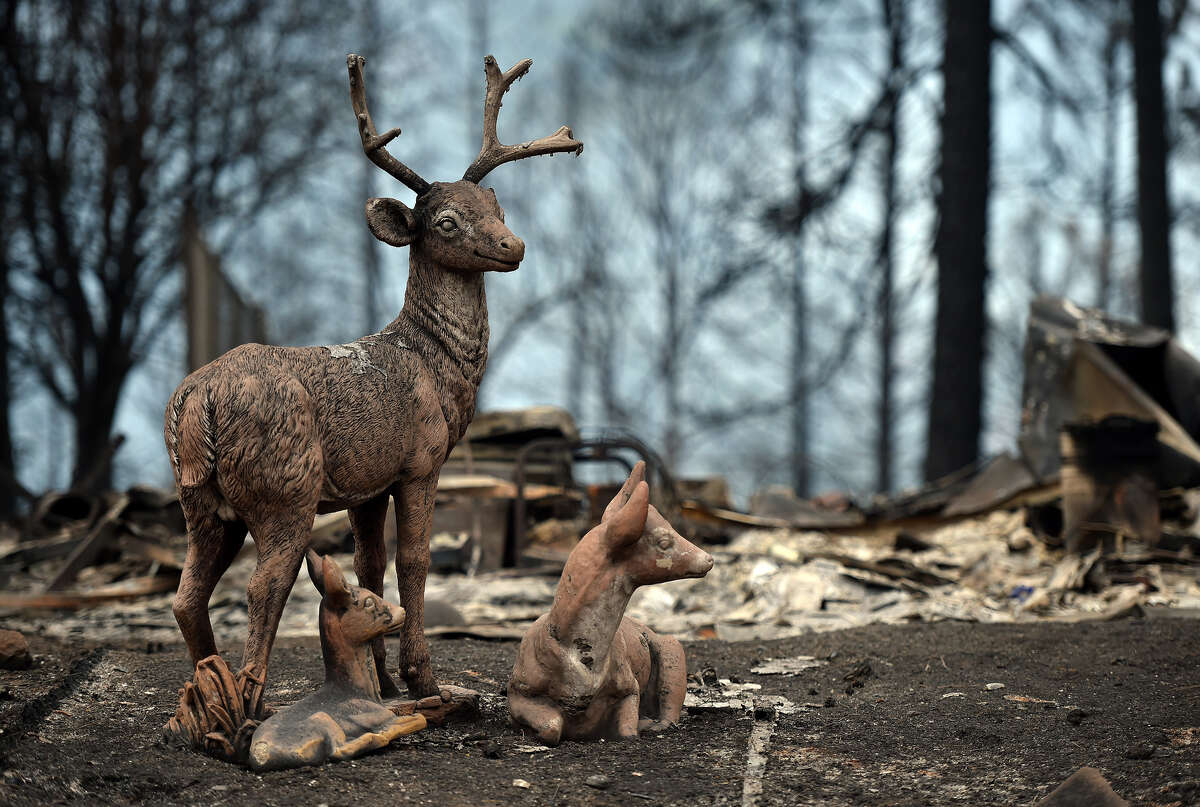Social media posts from Valley Fire include dramatic photos, videos