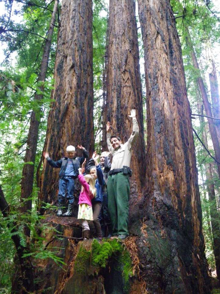 11 hidden redwood groves where you can find peace and quiet