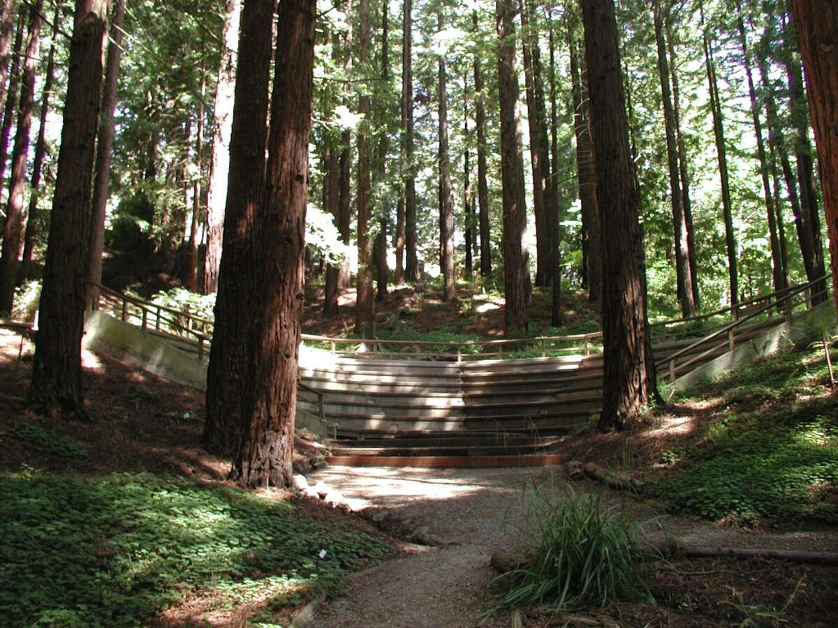 11 hidden redwood groves where you can find peace and quiet