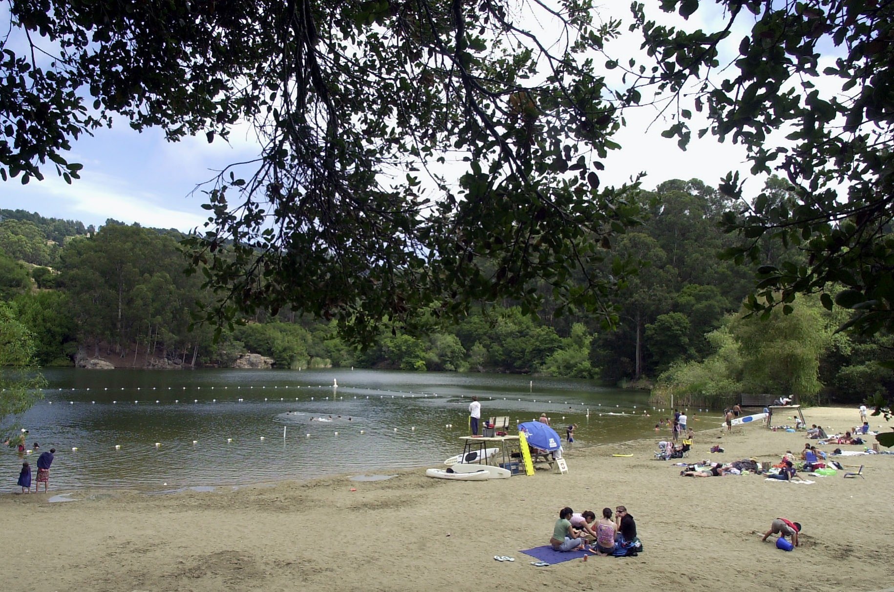 Lake Anza In Tilden Regional Park Closed Due To Toxic Algae