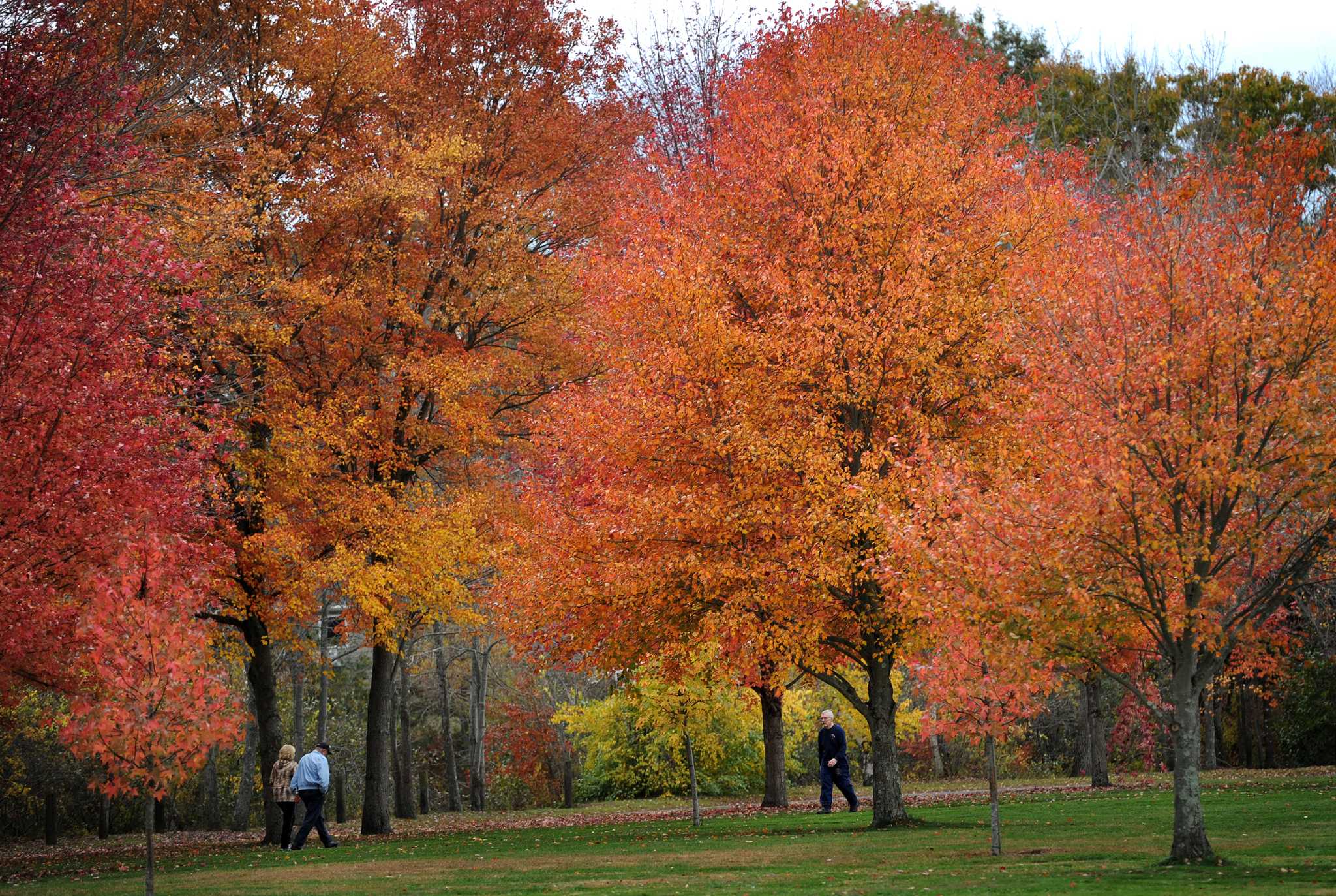 Photos: Fall foliage in Connecticut
