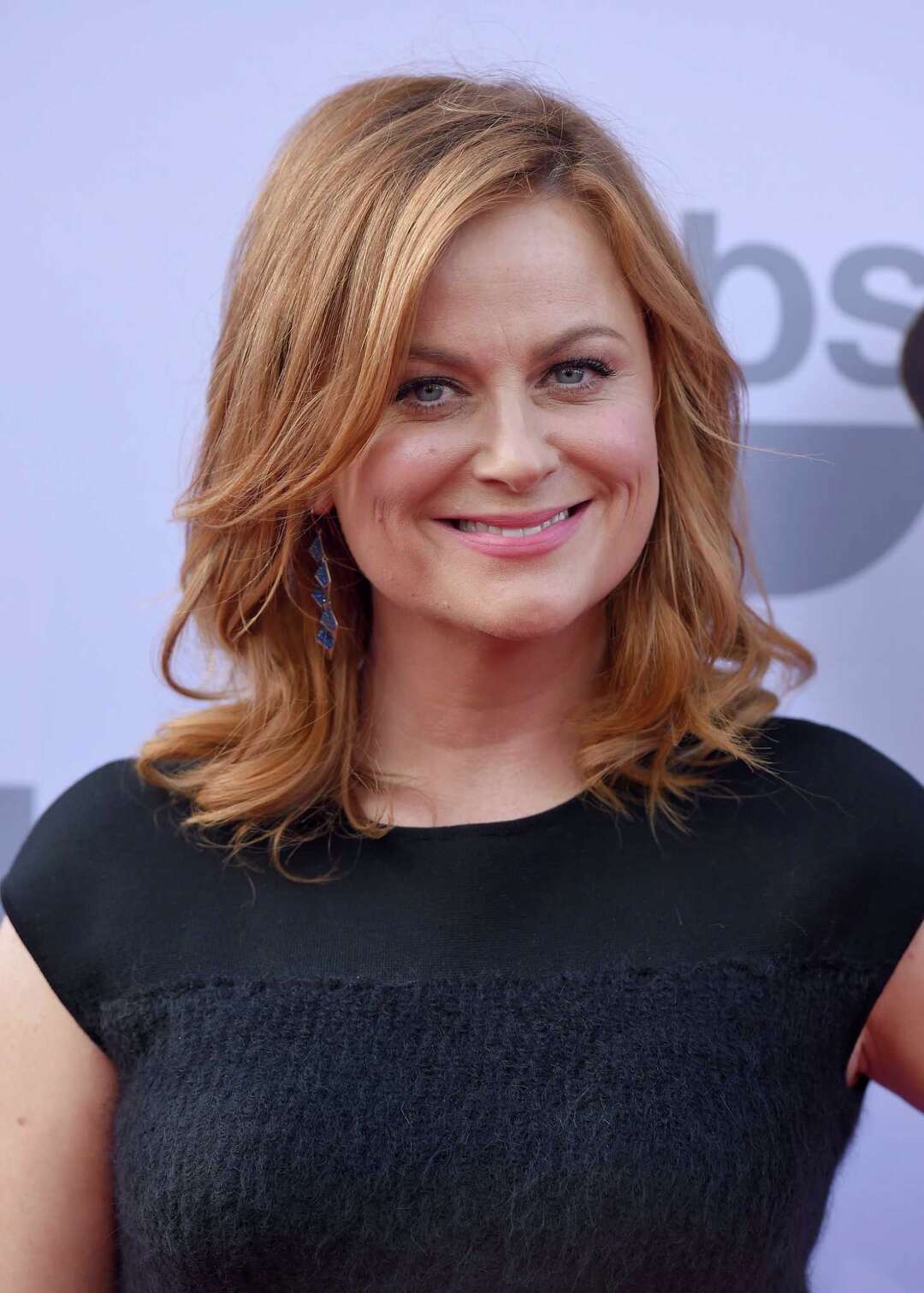 Amy Poehler buys film rights to a local author's YA book