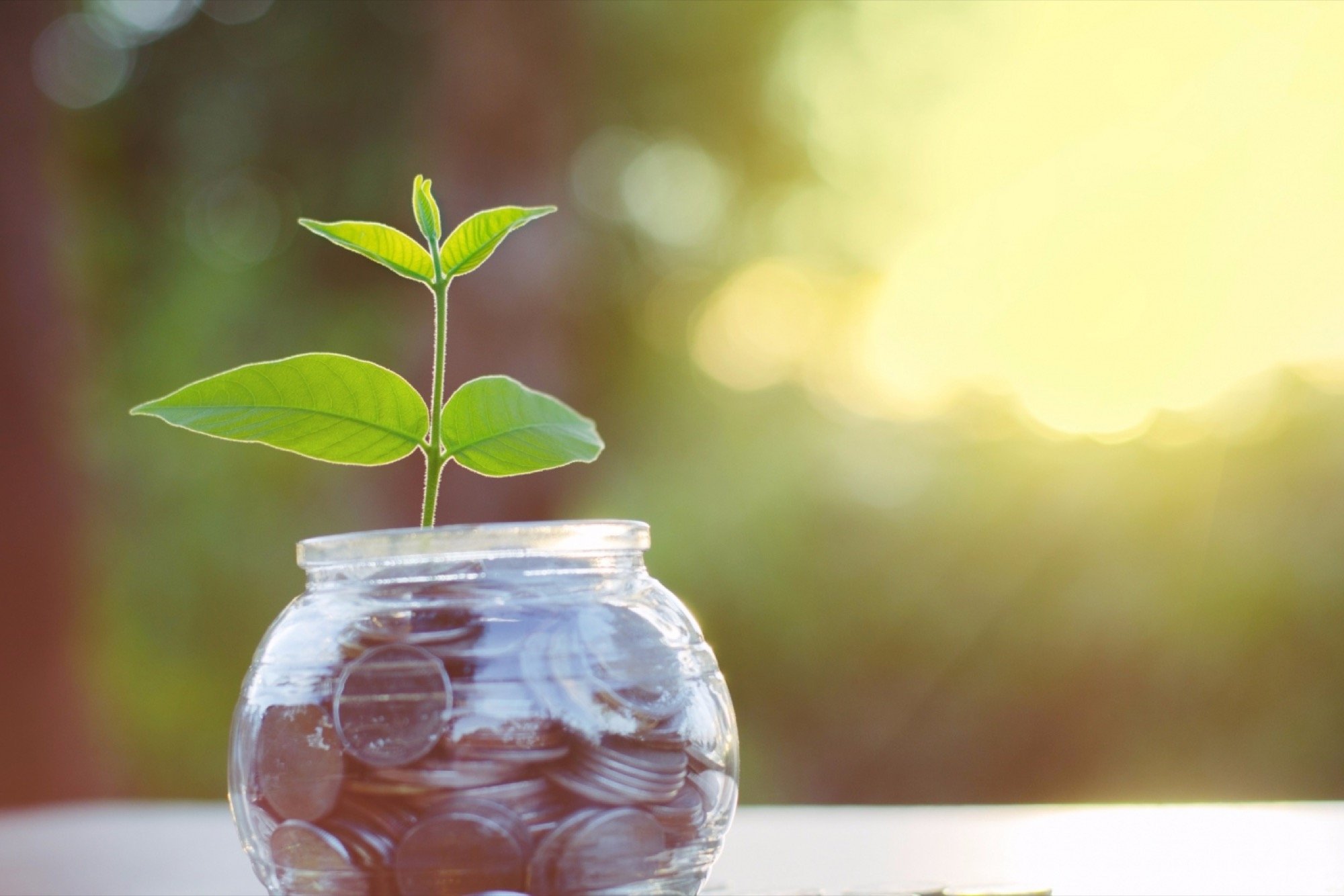 How to Pick the Right Bank for Your Business