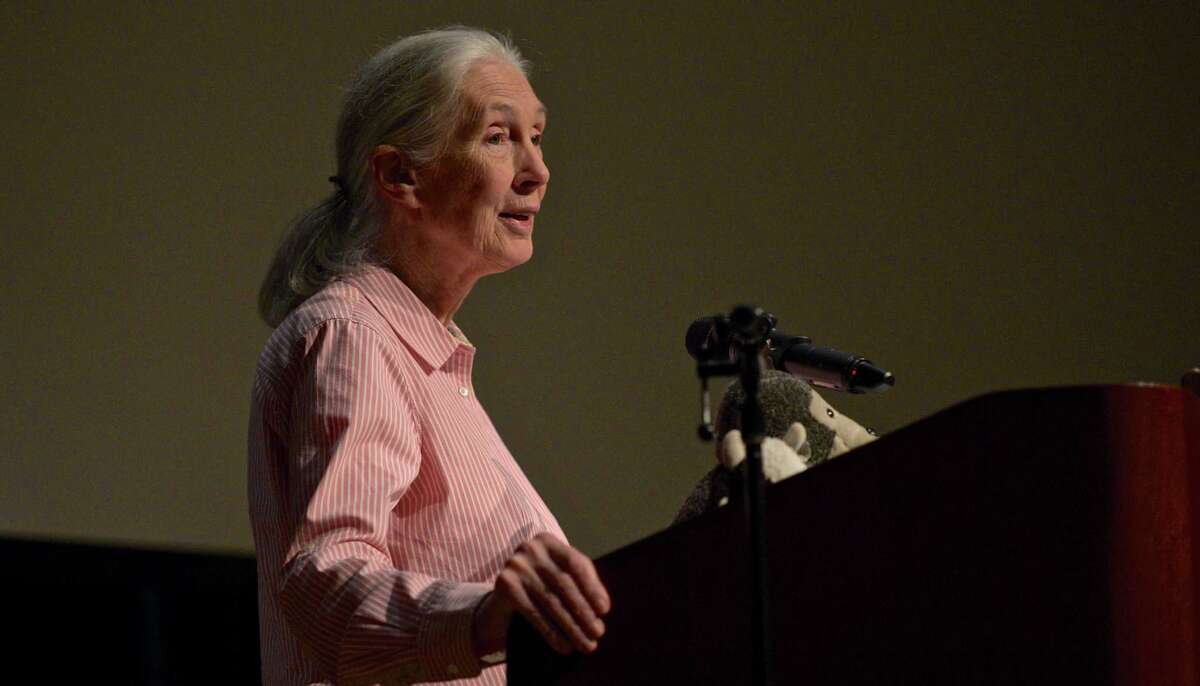Dr. Jane Goodall talks climate change at Westconn