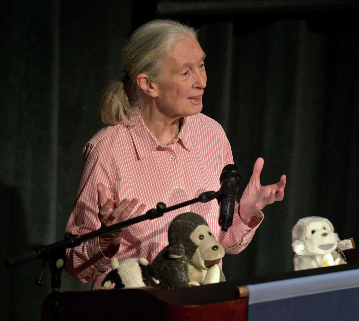 WCSU faculty in Danbury say Goodall deserves Presidential Medal
