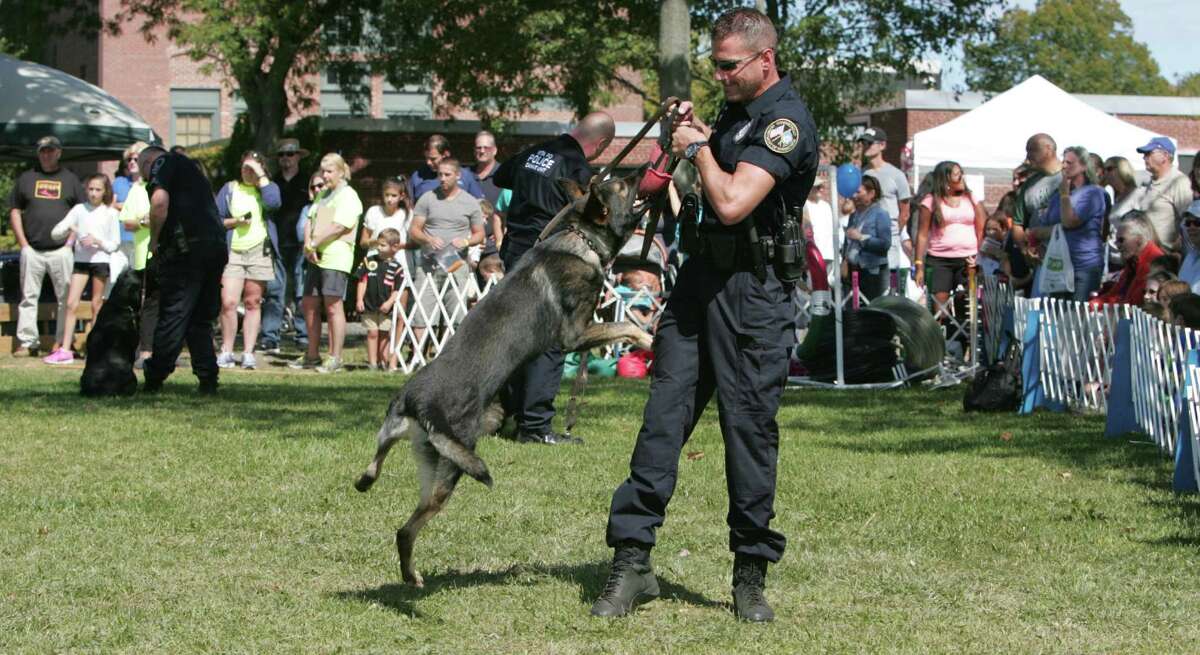 State police K9 gets protective gear