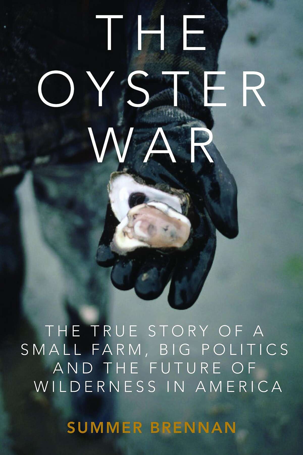 ‘The Oyster War,’ by Summer Brennan