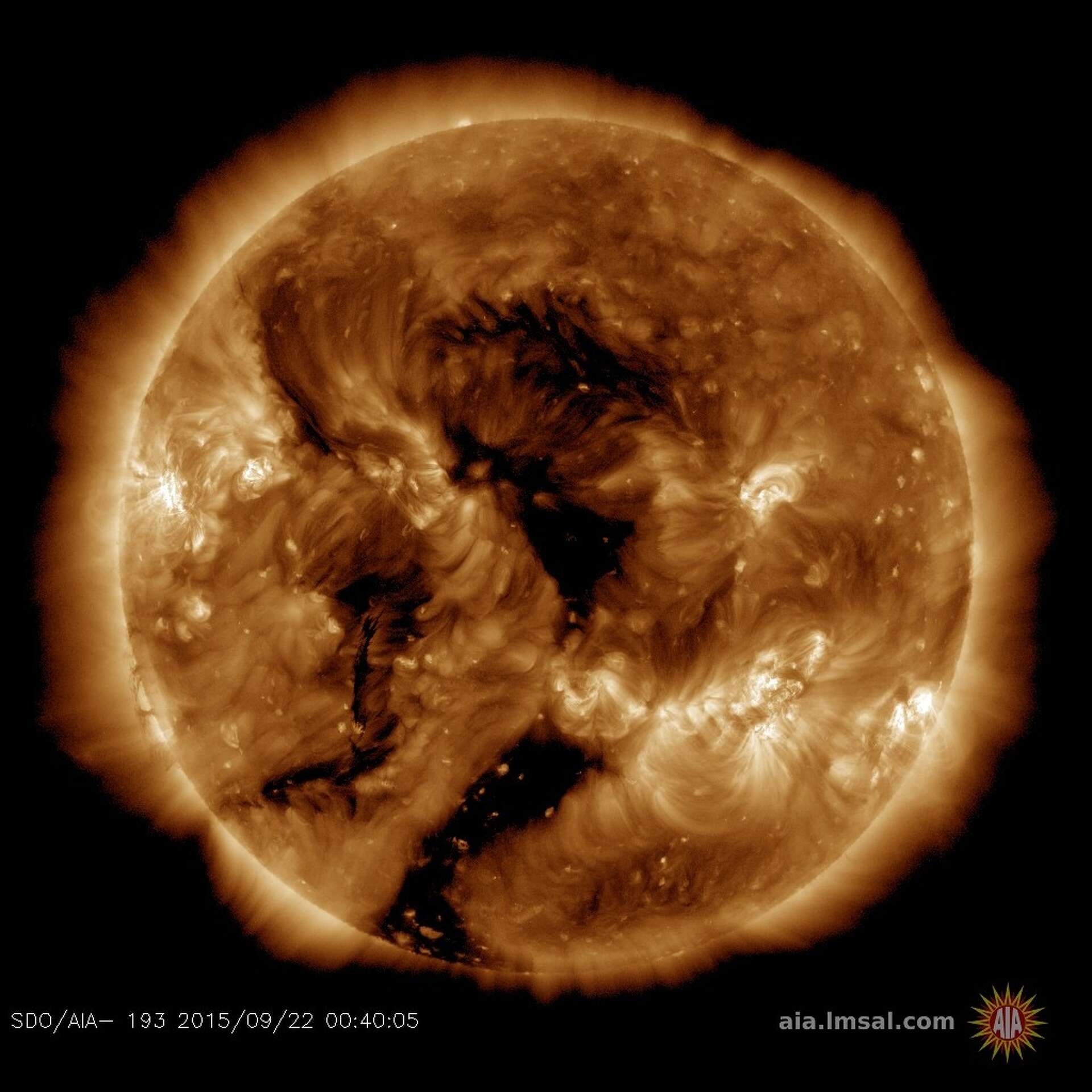 Amazing formations on the surface of the sun captivate astronomers