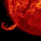 Amazing formations on the surface of the sun captivate astronomers