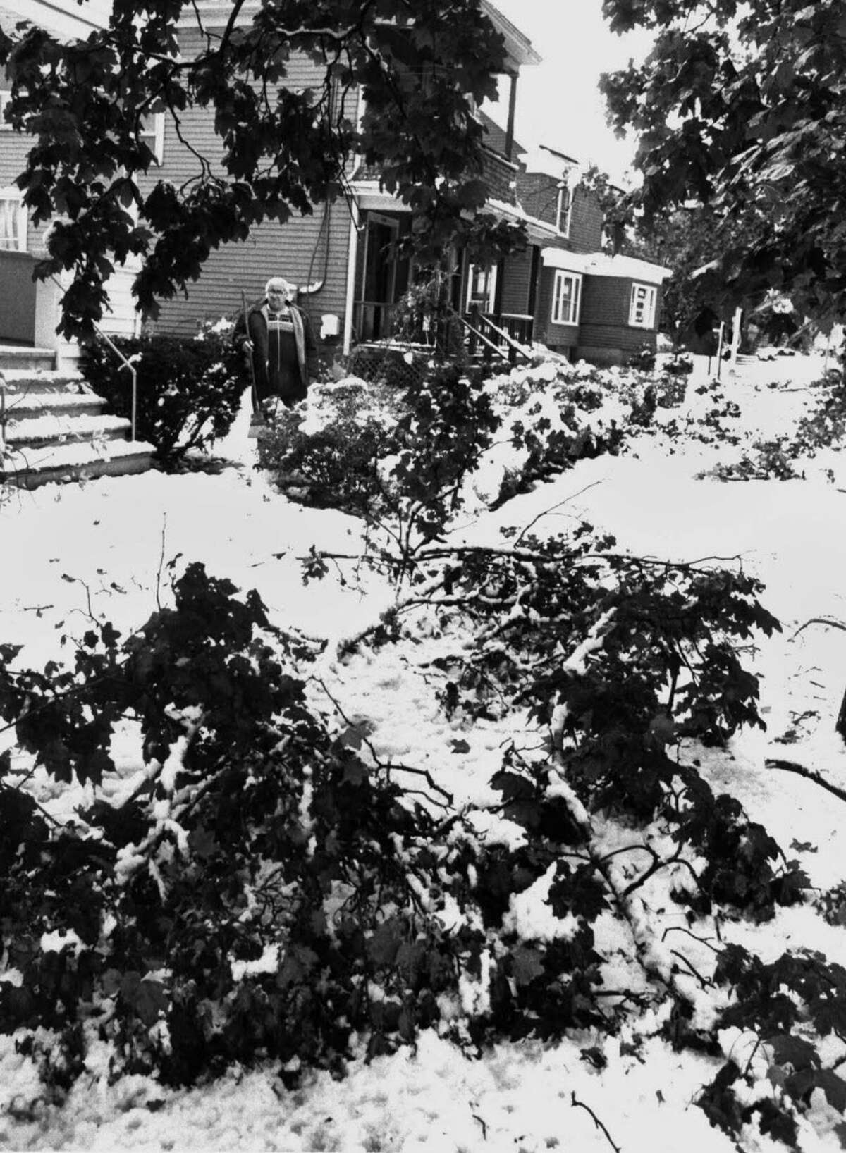 Forecasts more precise, but 1987 freak storm would still be a crippler