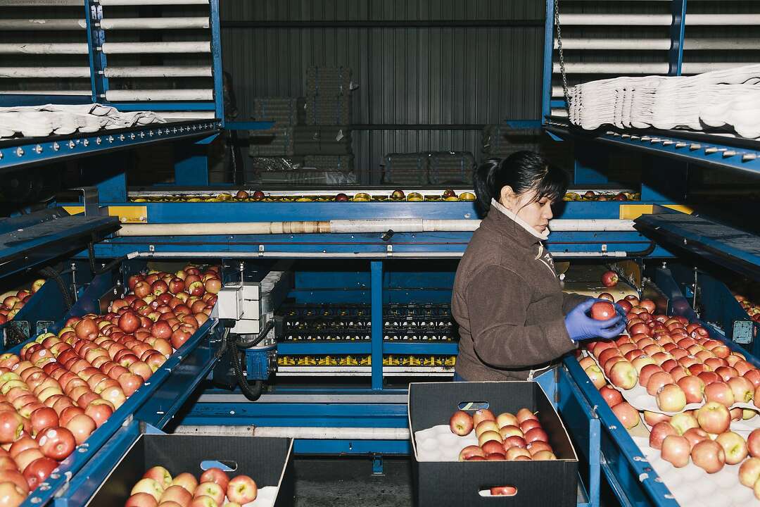 Drought survival: What Australia’s changes can teach California