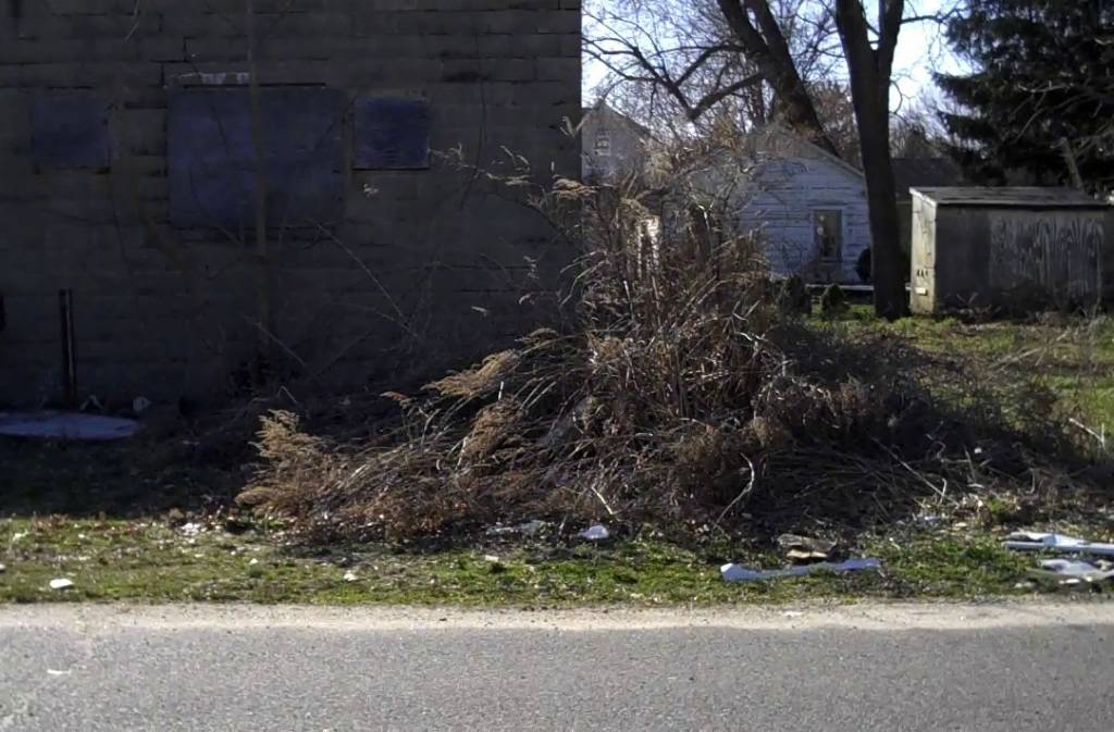 Blight complaints increase when spring arrives