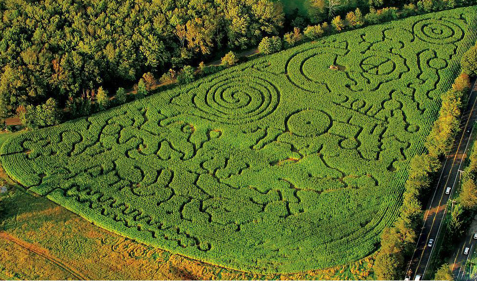 The 7-acre maize maze opens Saturday in Newtown