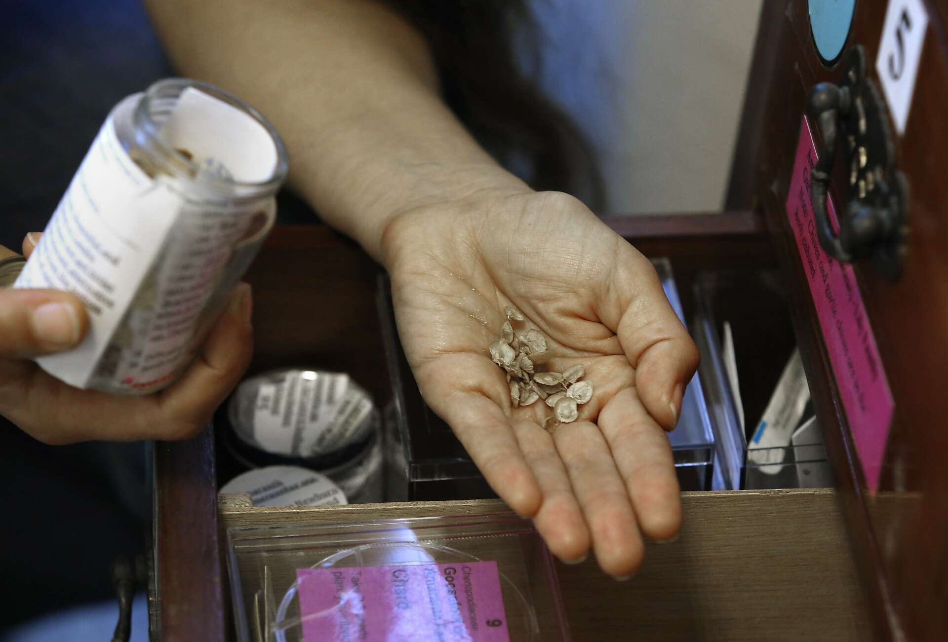 Seed libraries sow more than good will