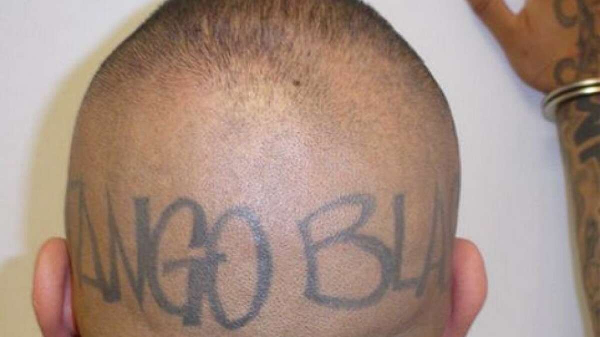 13 gangs and cartels that are working together in Texas