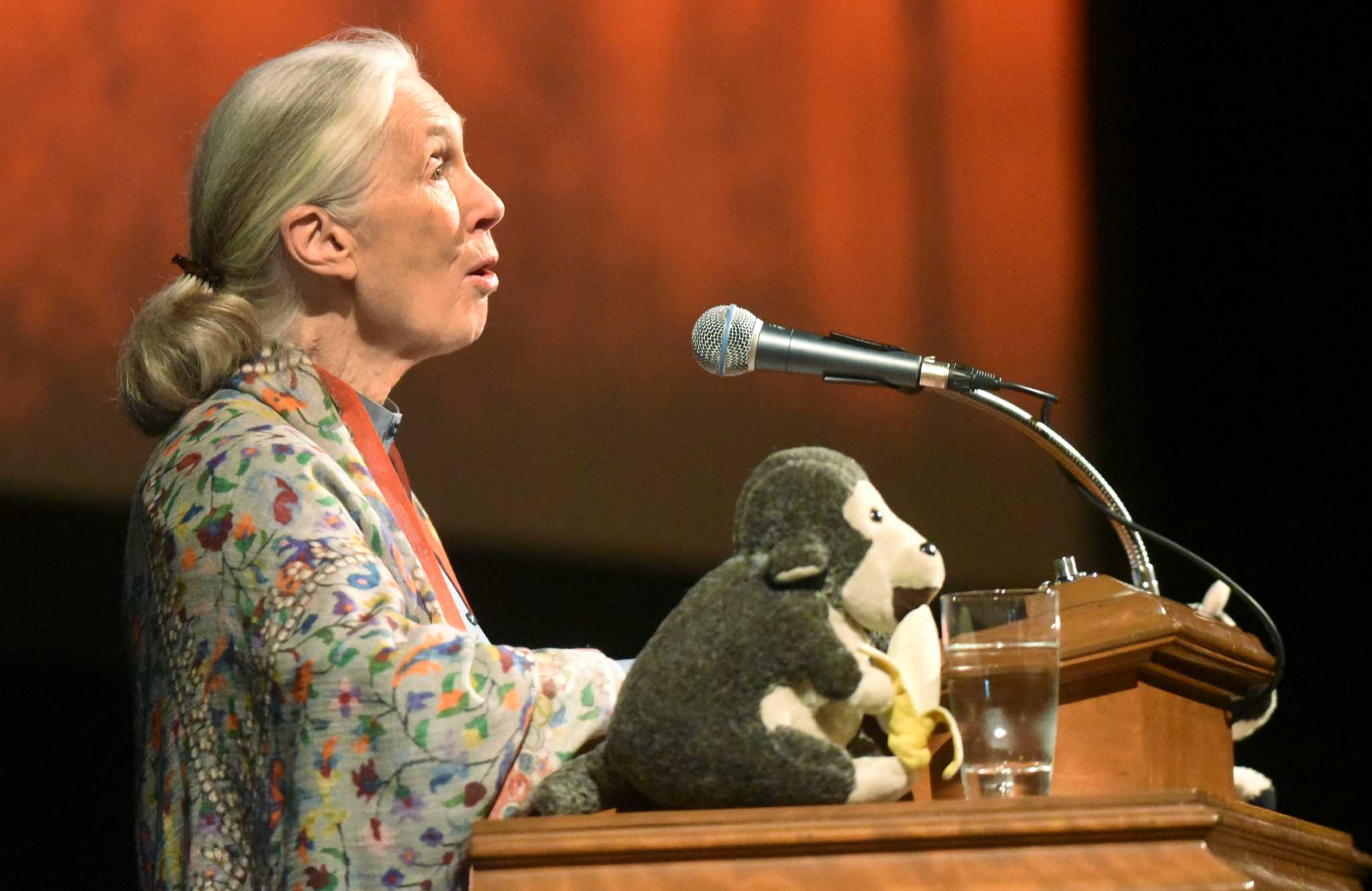 Jane Goodall’s message at Trinity: Act locally