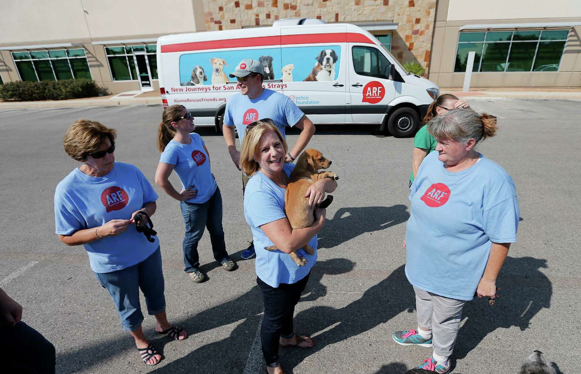 Stray San Antonio dogs on the way to adoptive families in New England