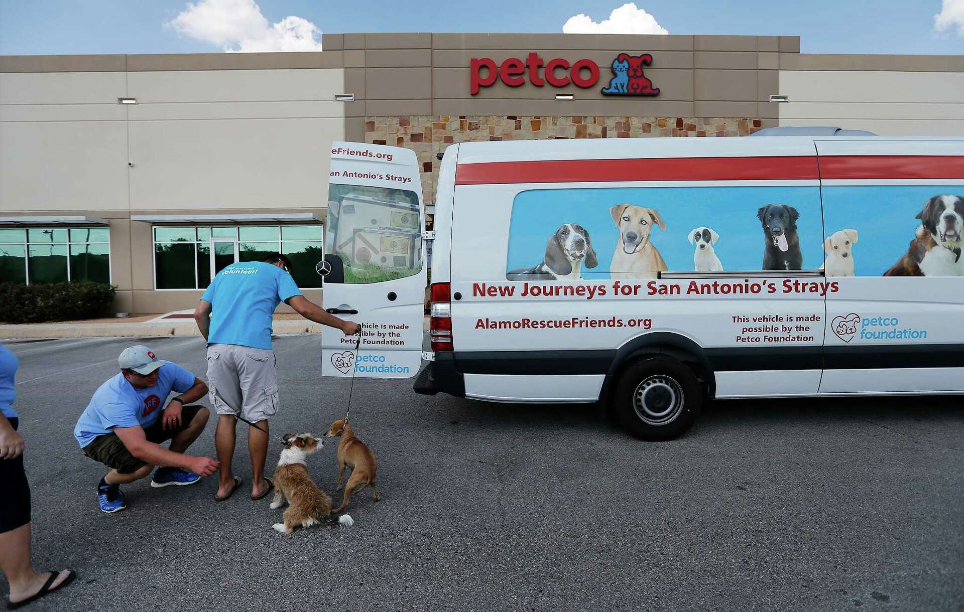 Stray San Antonio dogs on the way to adoptive families in New England