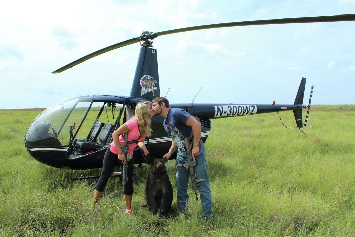 'Helibacon' Texas feral hog-hunting takes aerial approach to hog problem