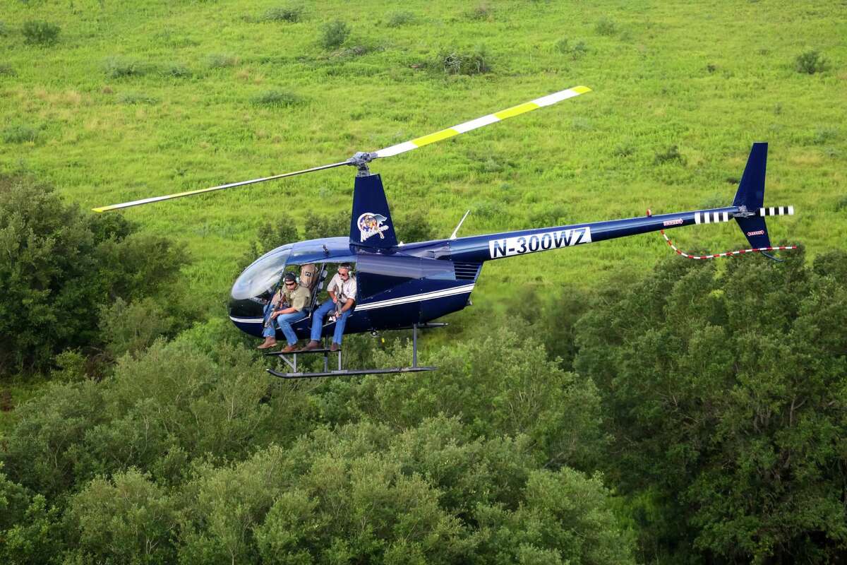 'Helibacon' Texas feral hog-hunting takes aerial approach to hog problem