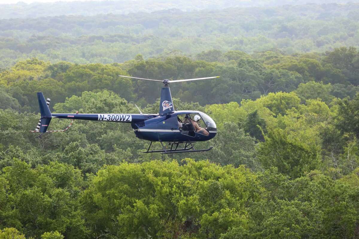 'Helibacon' Texas feral hog-hunting takes aerial approach to hog problem