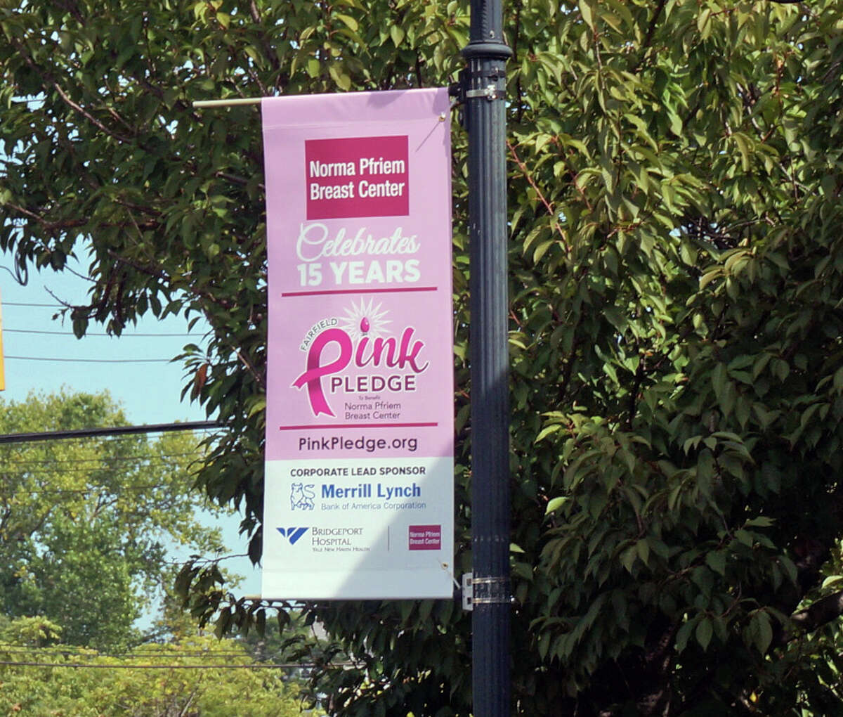 Pink crusaders: Cops deploy new cruiser in support of breast cancer ...