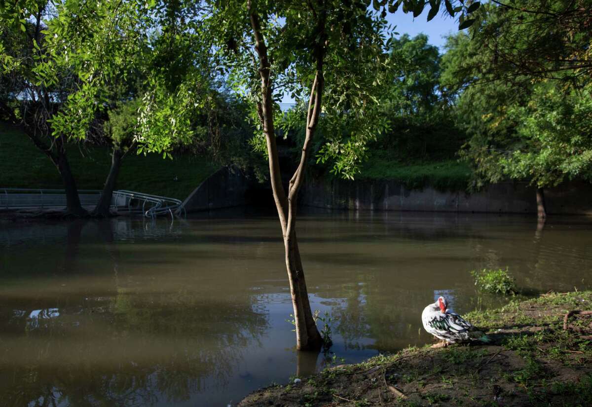 Buffalo Bayou Park gives Houstonians a new perspective on the city