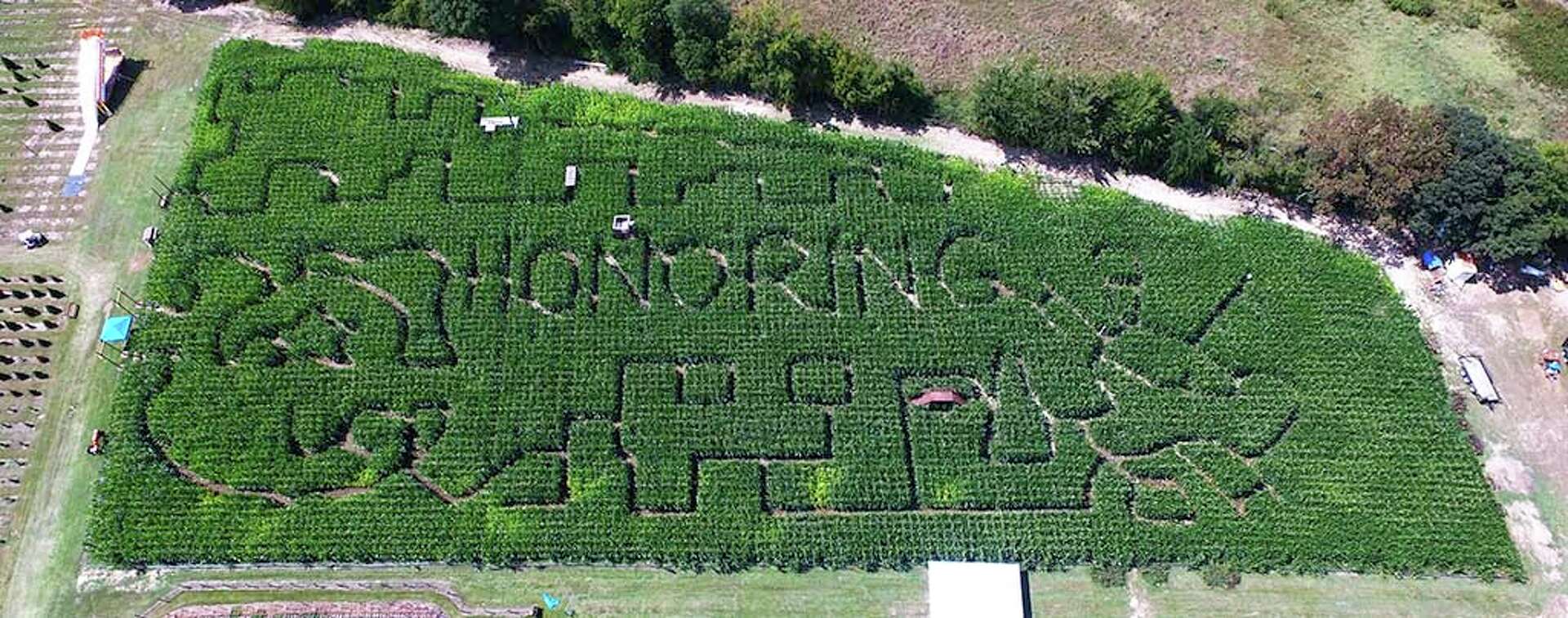 11 corn mazes in Texas to visit this fall
