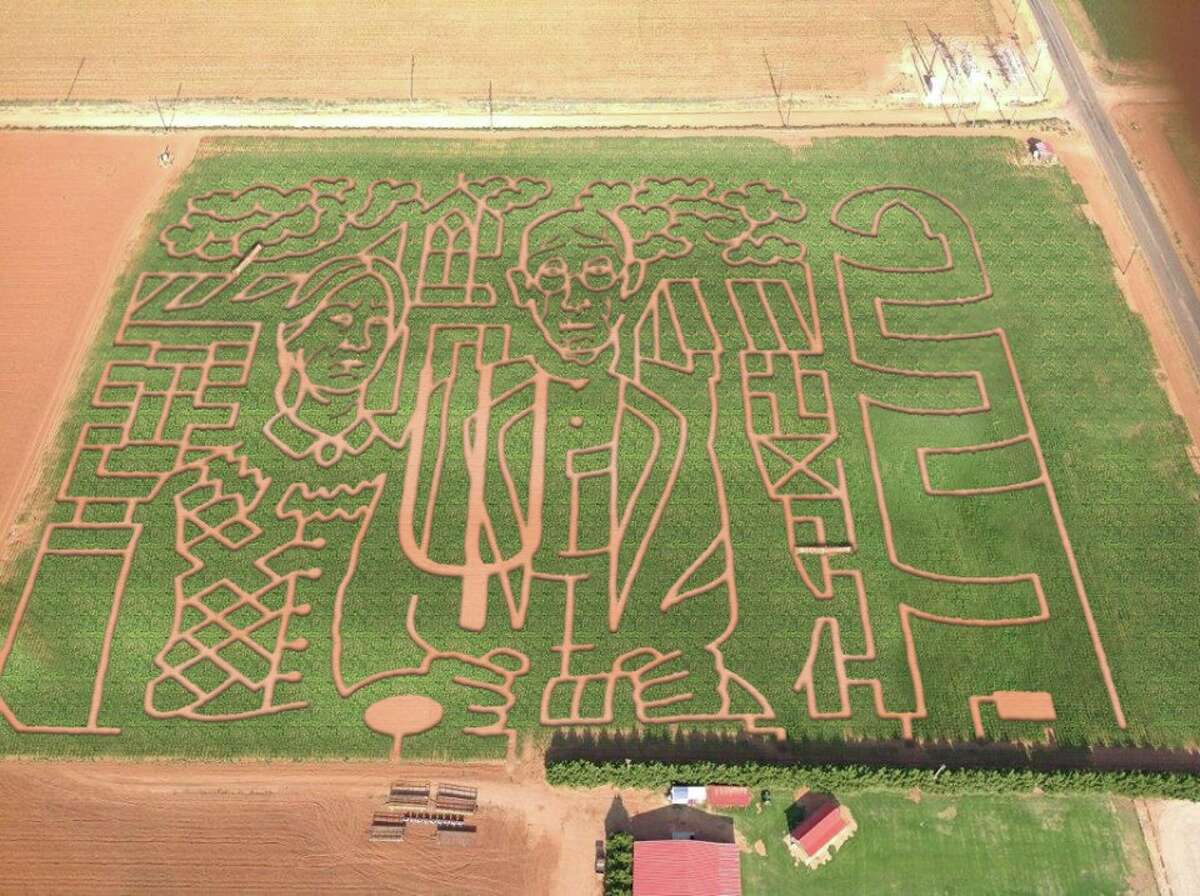 11 corn mazes in Texas to visit this fall