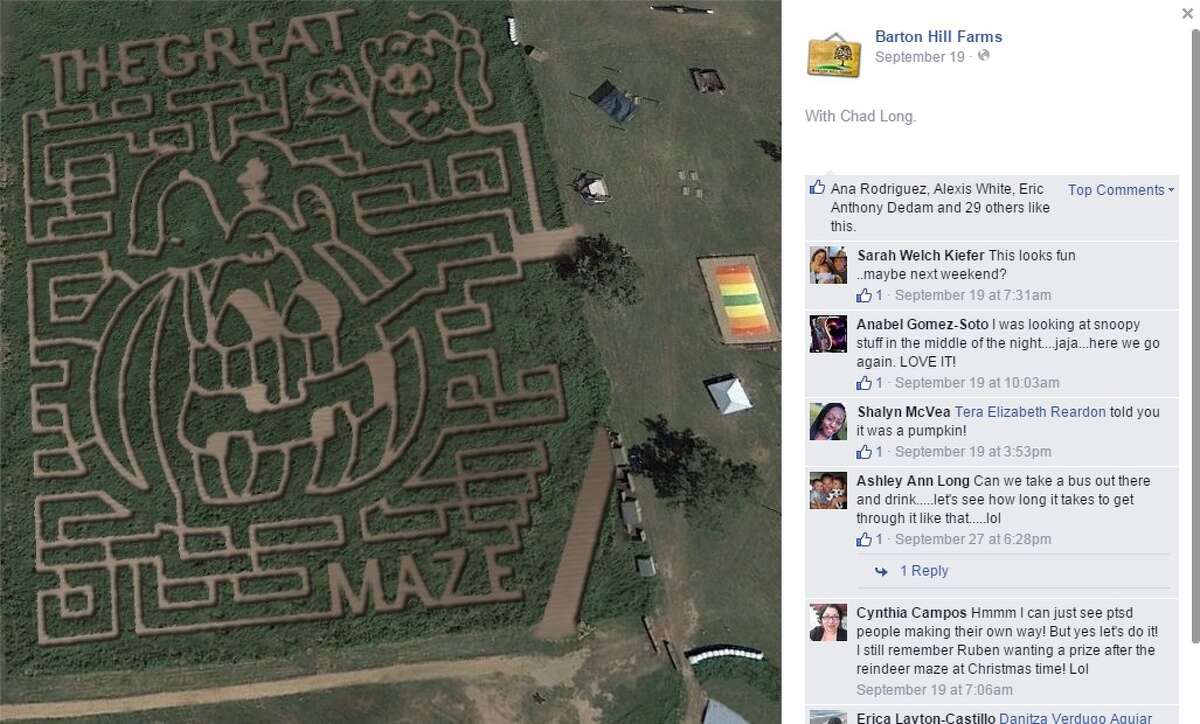 11 corn mazes in Texas to visit this fall