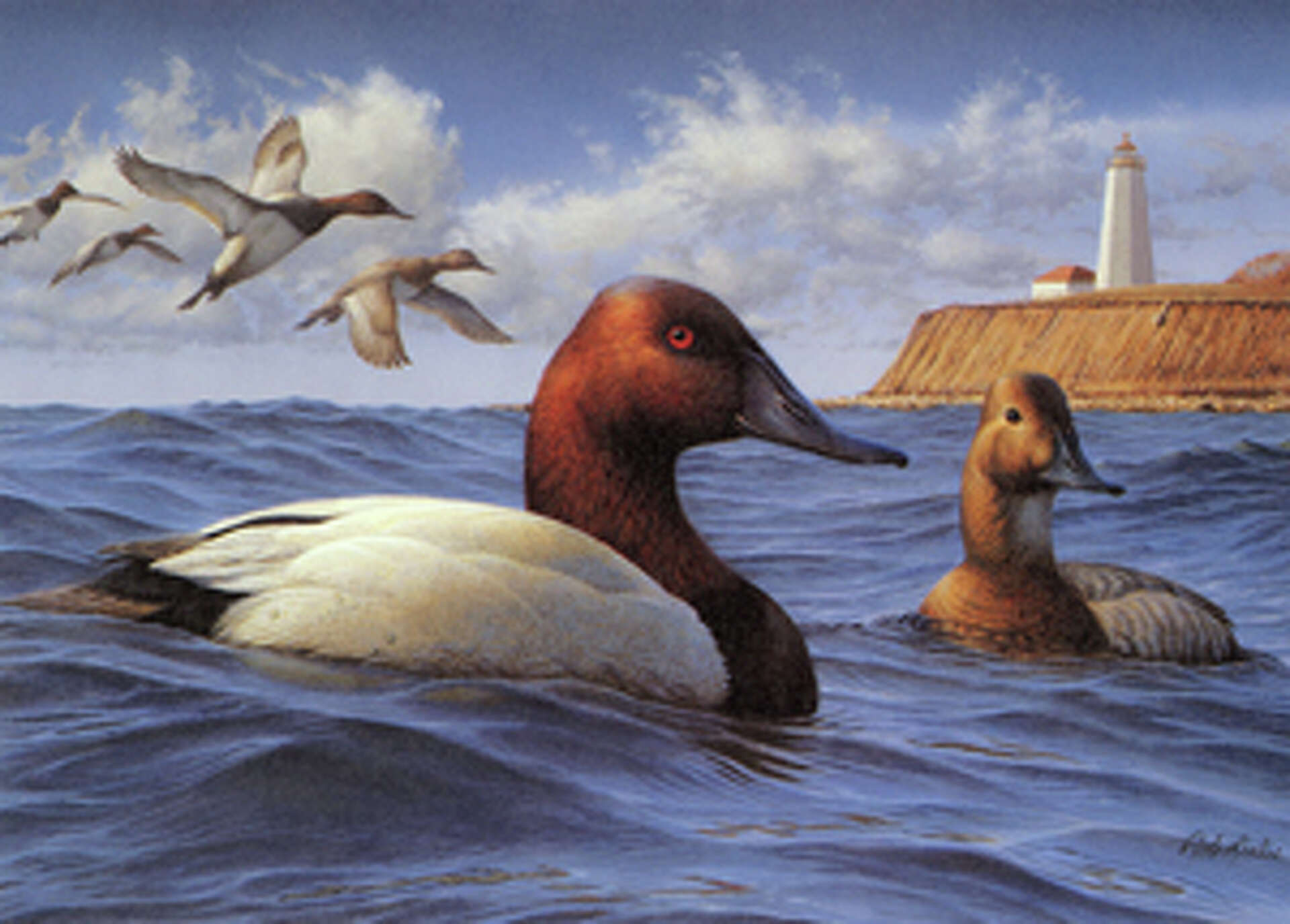 CT duck stamps: Iconic waterfowl art, saves wetlands