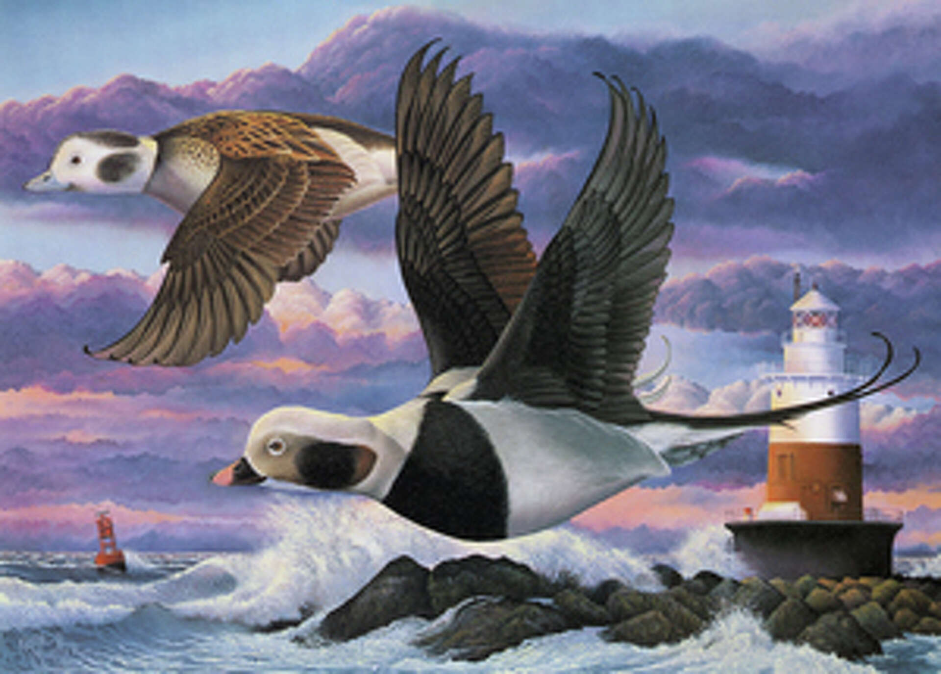 CT duck stamps: Iconic waterfowl art, saves wetlands