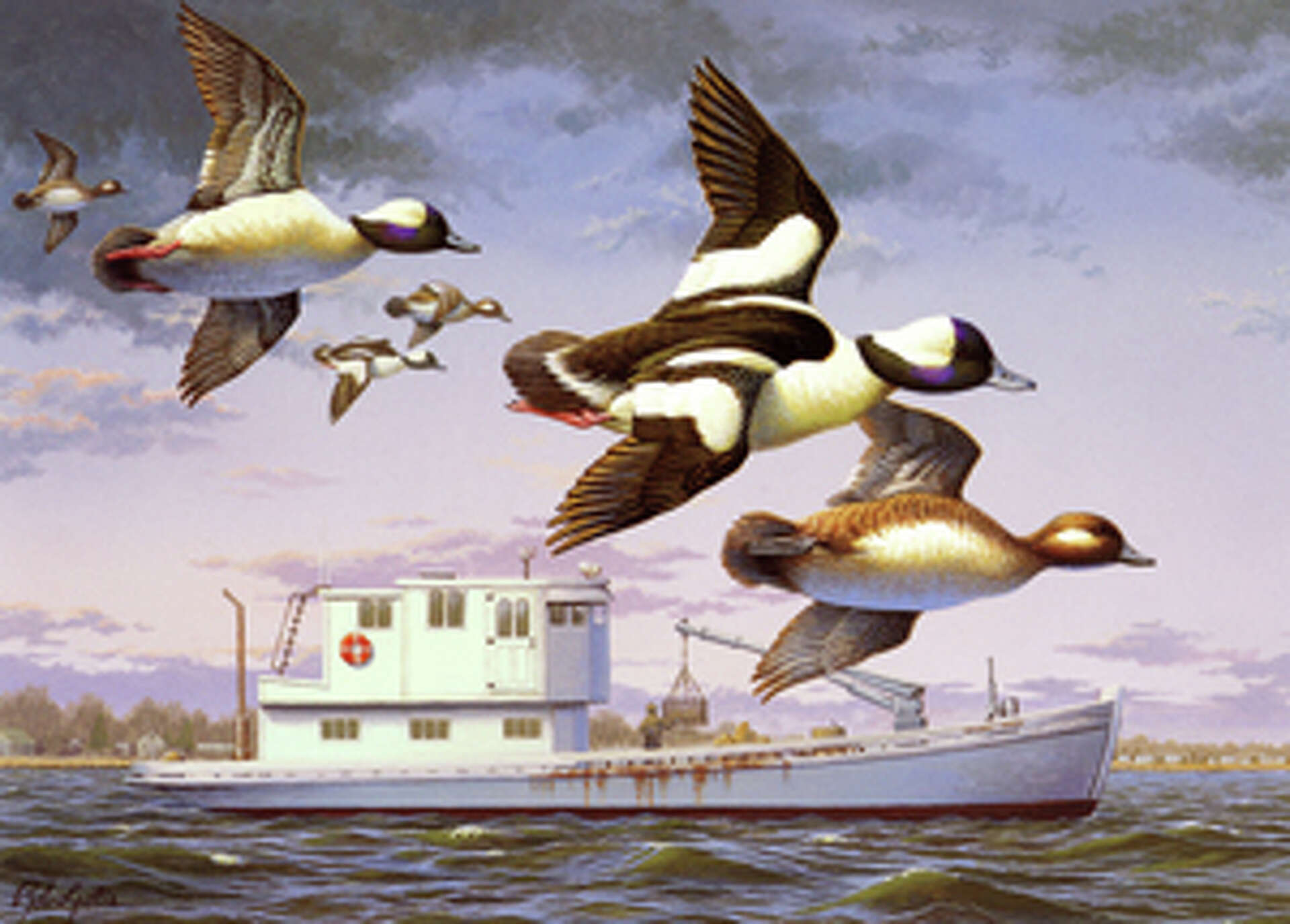 CT duck stamps: Iconic waterfowl art, saves wetlands