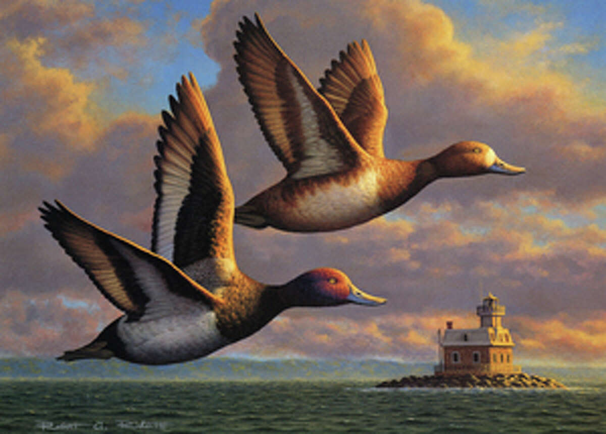 CT duck stamps: Iconic waterfowl art, saves wetlands