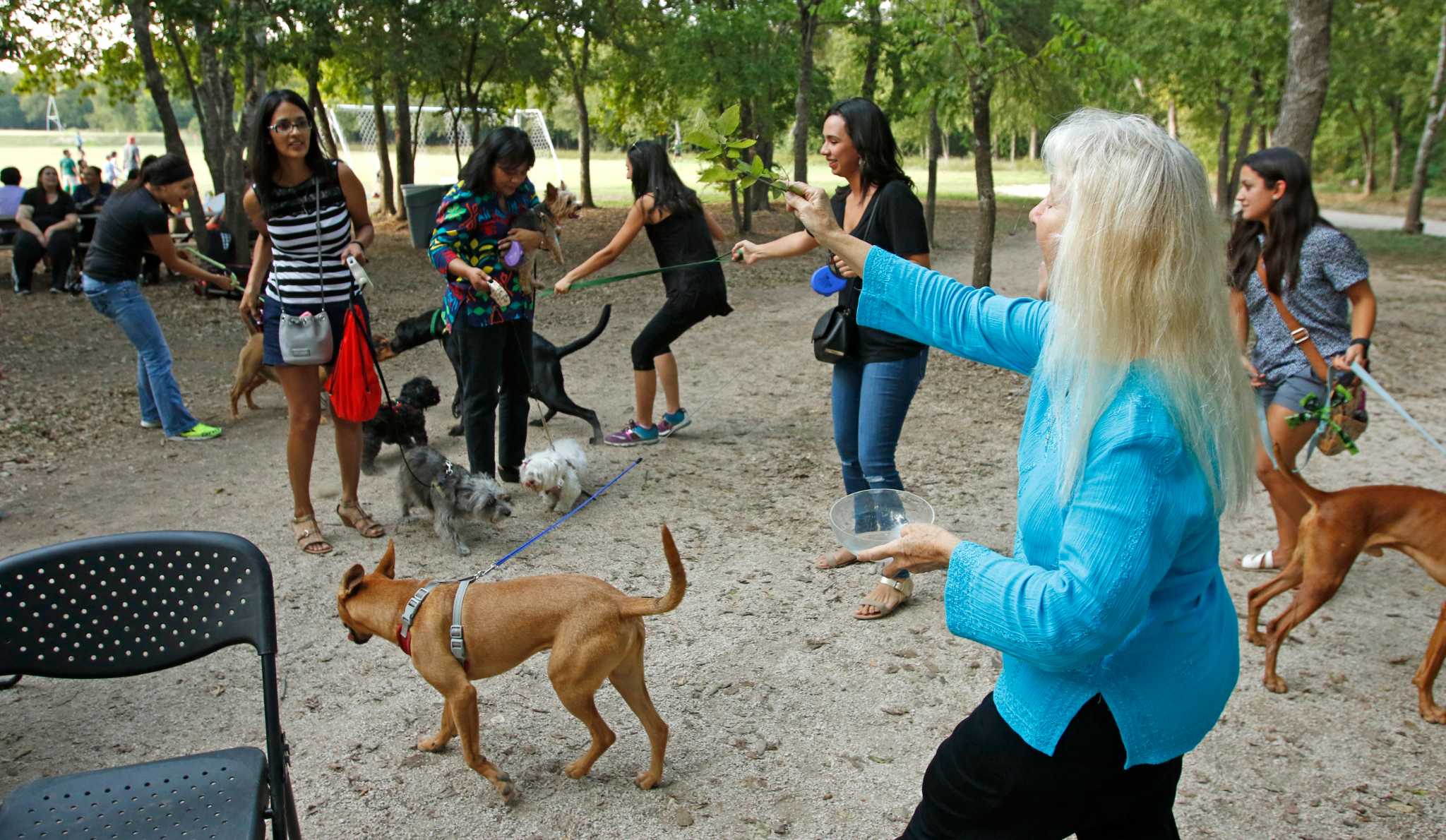 Animals receive blessing at UIW event