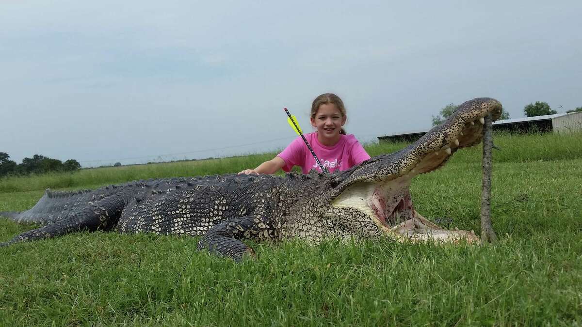 10-year-old Texas girl kills 13-foot, 800-pound alligator with crossbow