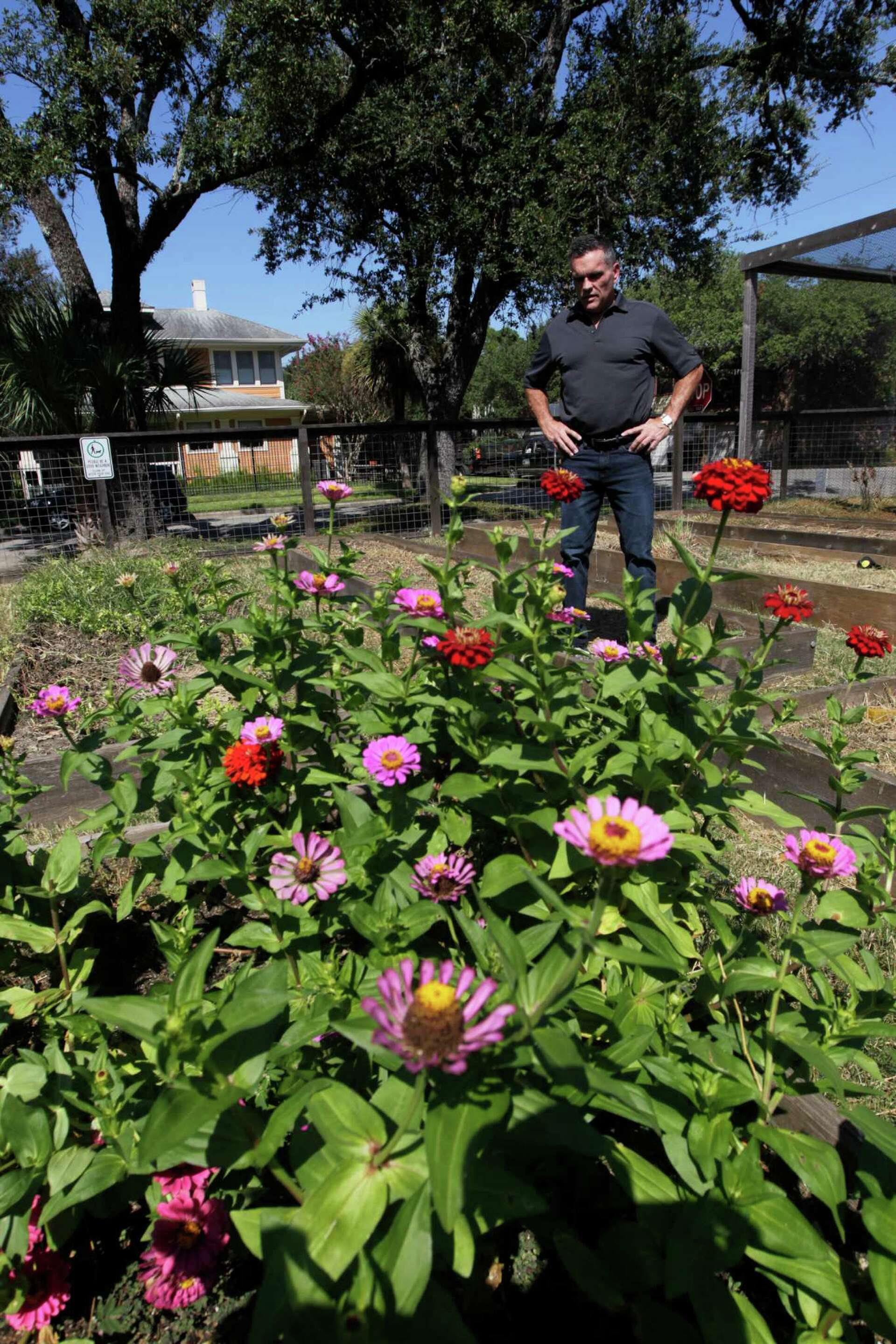 New development to claim Montrose garden