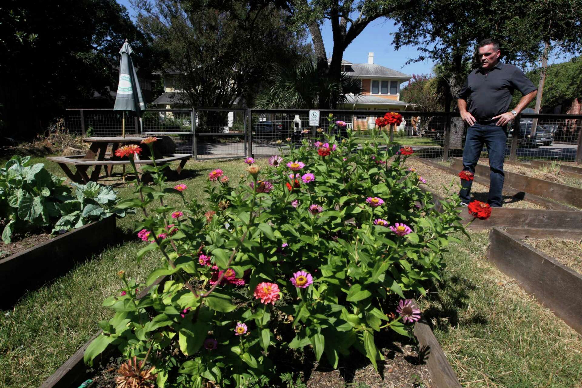 New development to claim Montrose garden