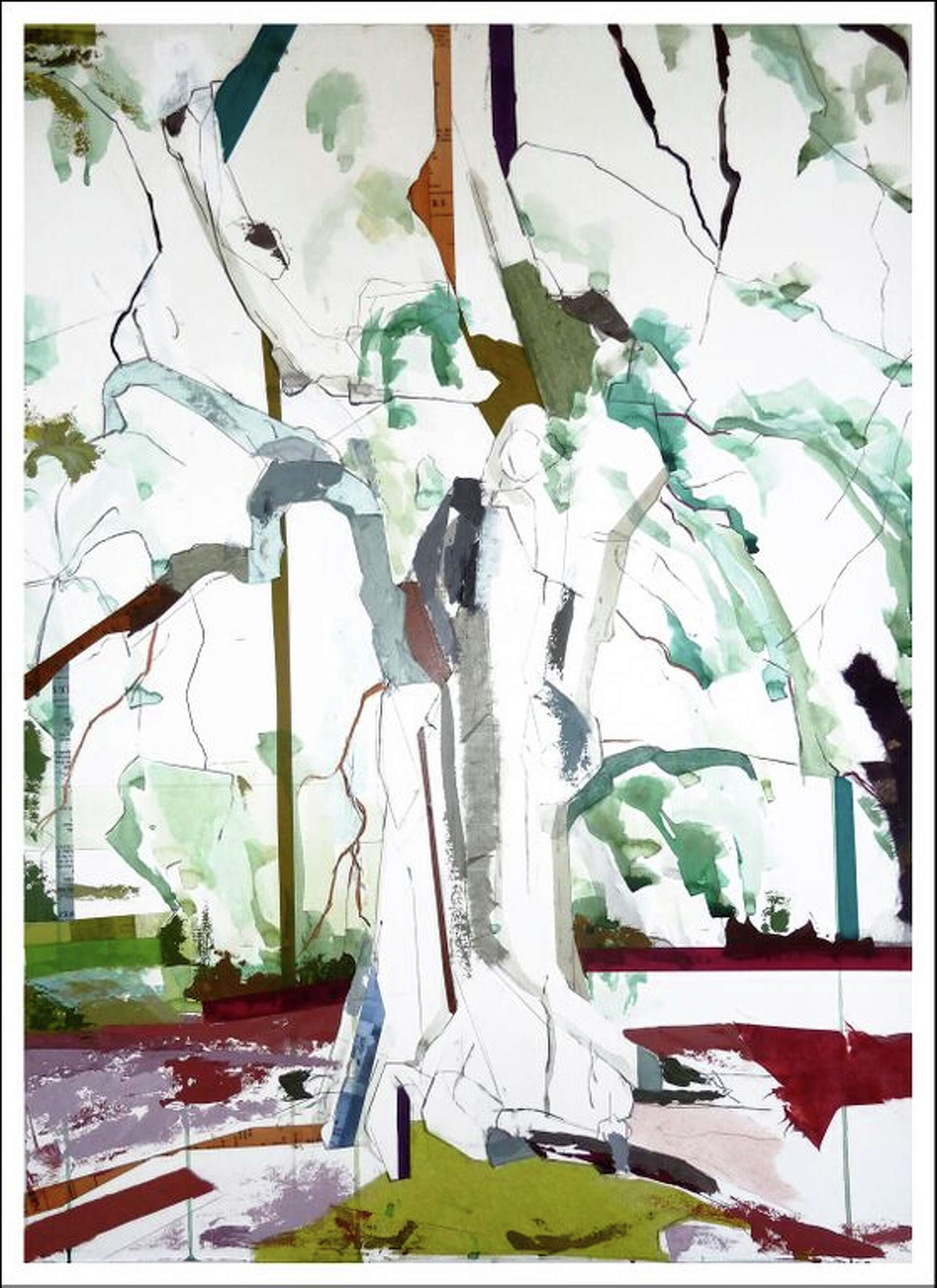 'Texas trees have stories to tell'