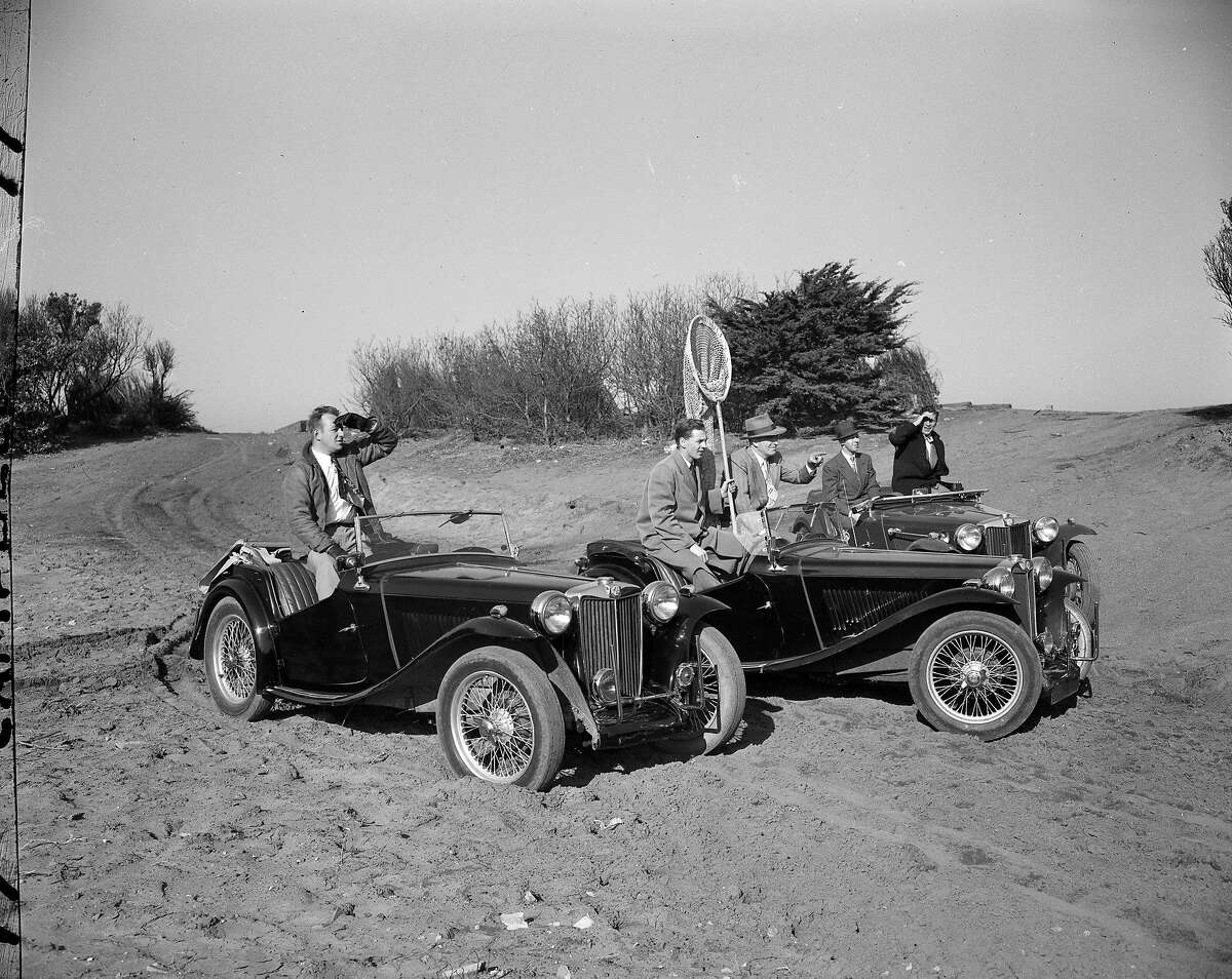 S.F. Zoo escape artist: When the ‘Bear Hunt for Pokey’ transfixed the city