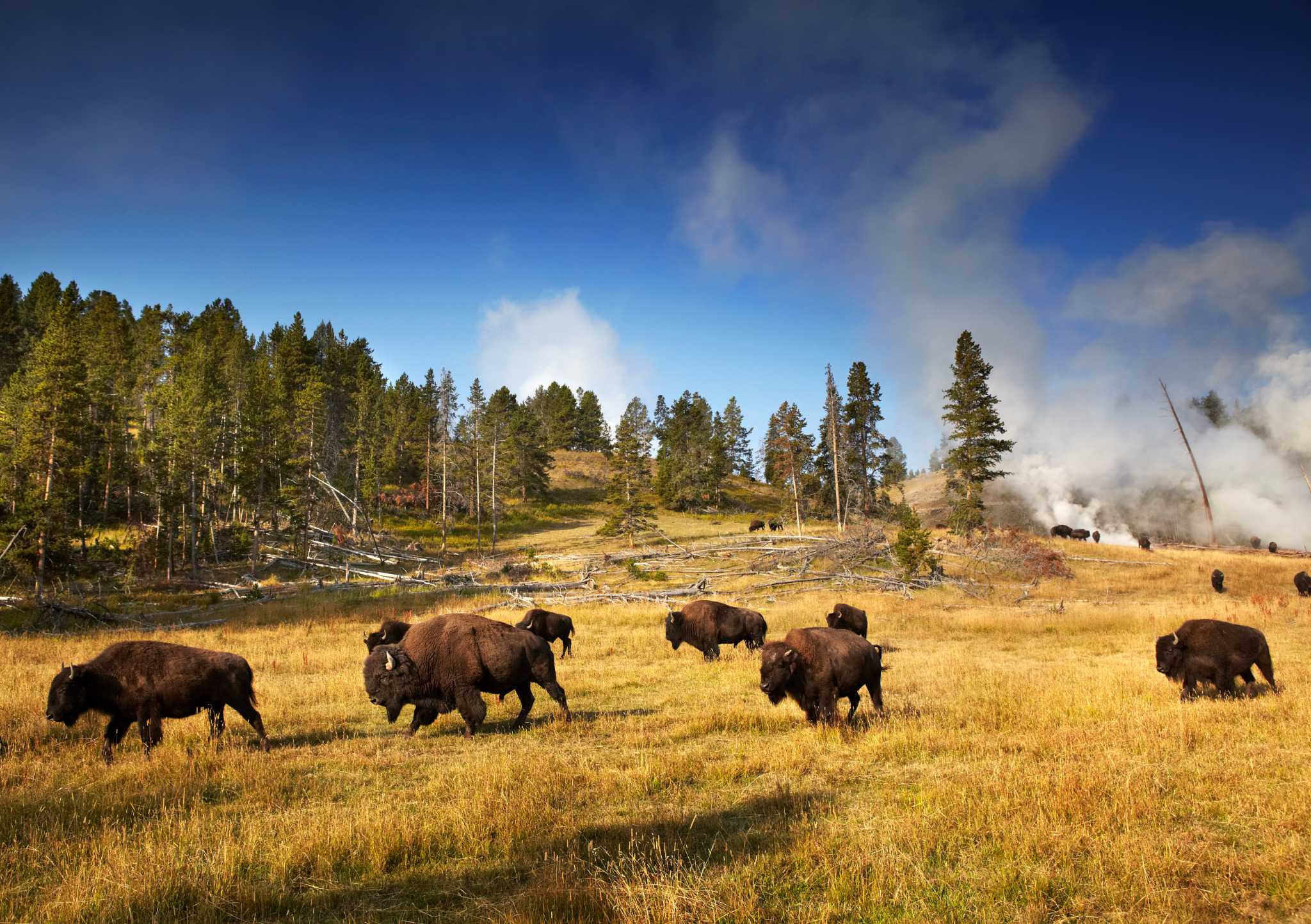 7 facts about national parks