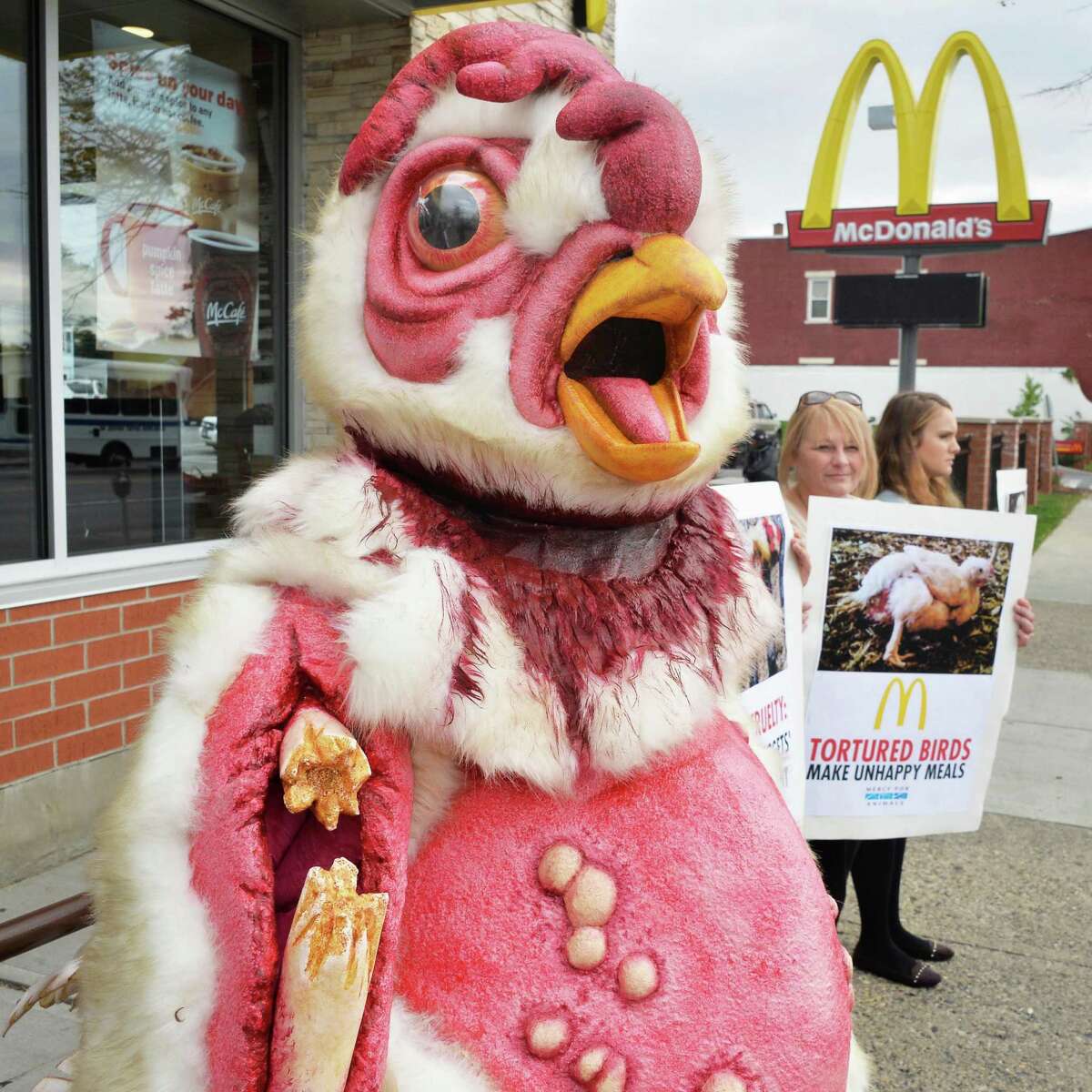 Advocates for abused chickens protest at Albany McDonald's