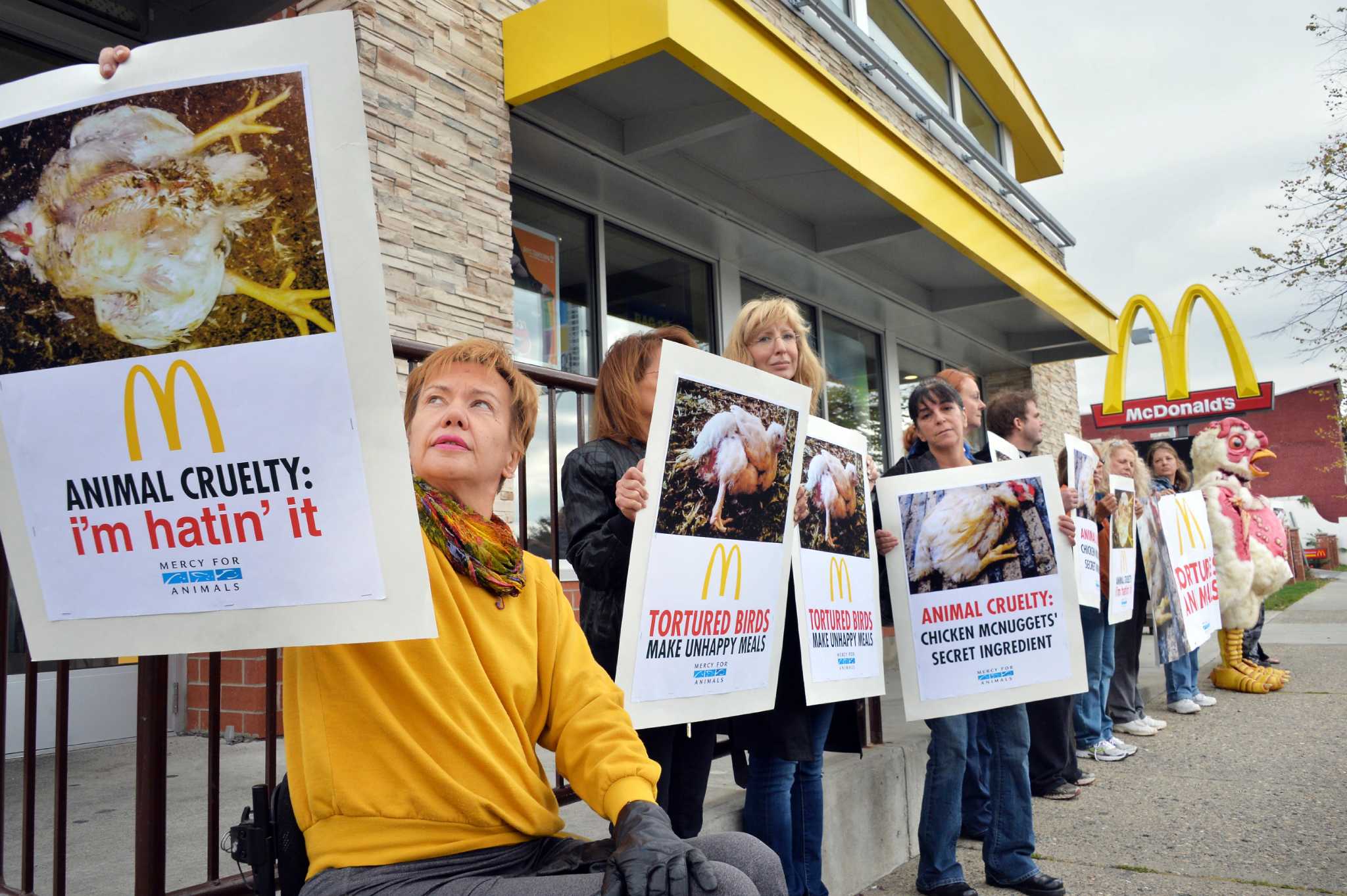 Advocates for abused chickens protest at Albany McDonald's