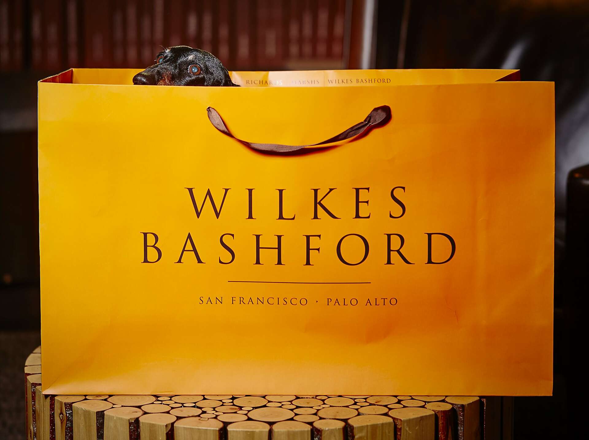 The bold Mr. Bashford celebrates art of dressing well