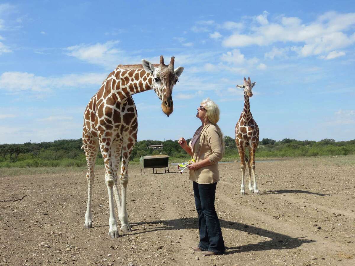 Large chunk of YO Ranch sold, new resort planned