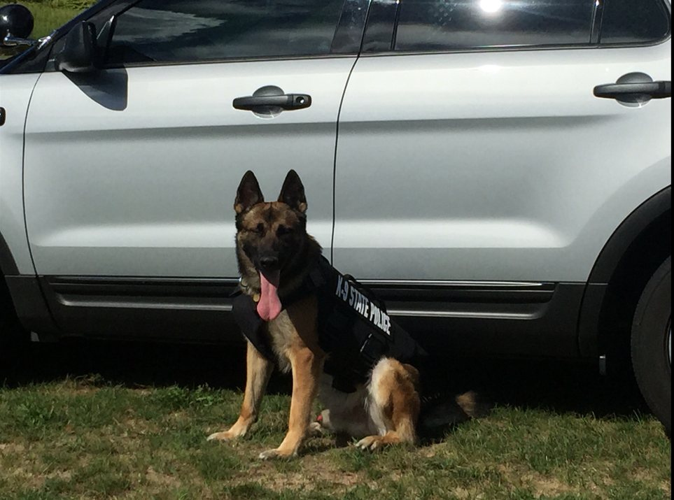 State police K9 gets protective gear