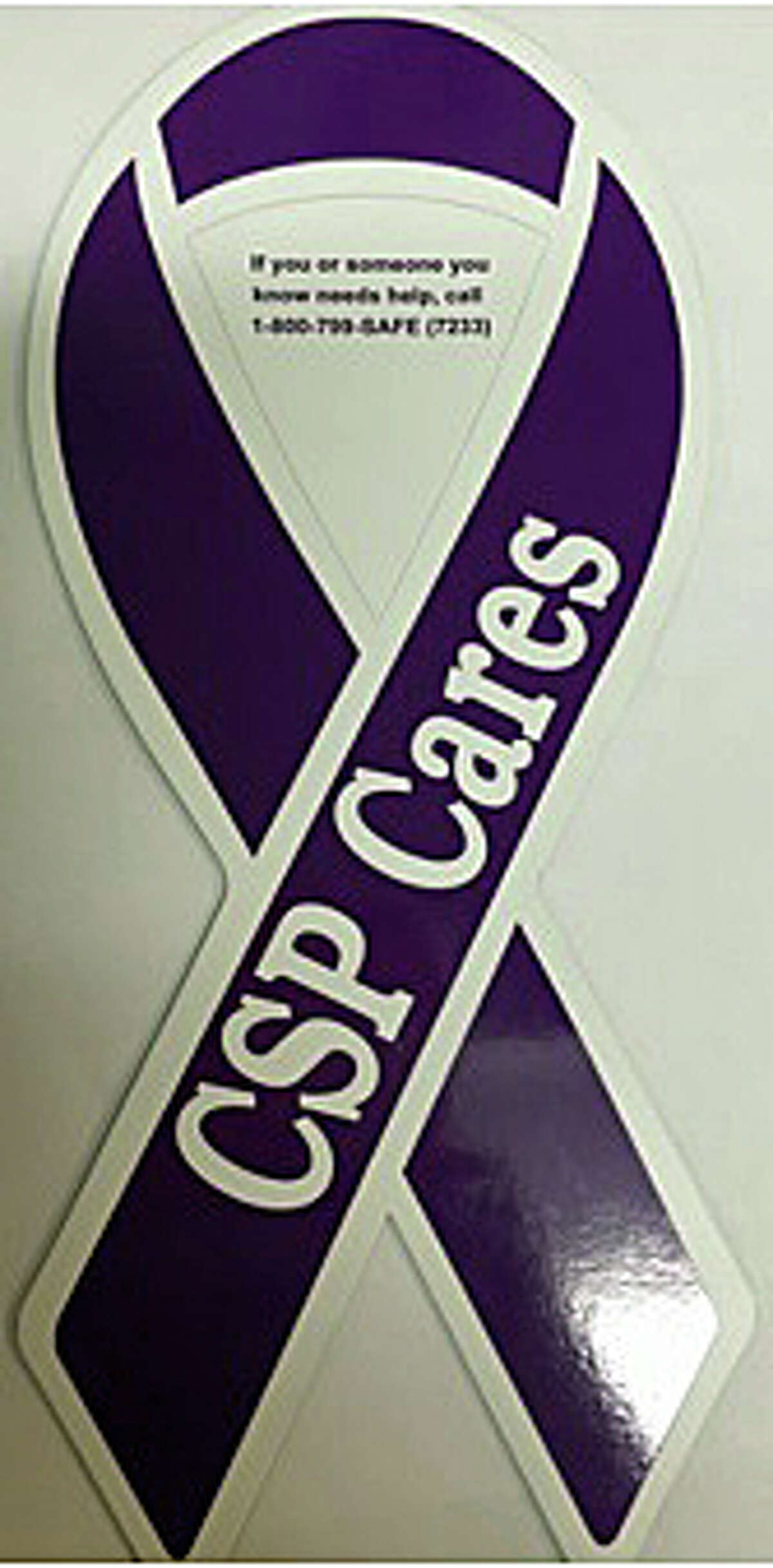 Domestic abuse ribbons on State Police cars